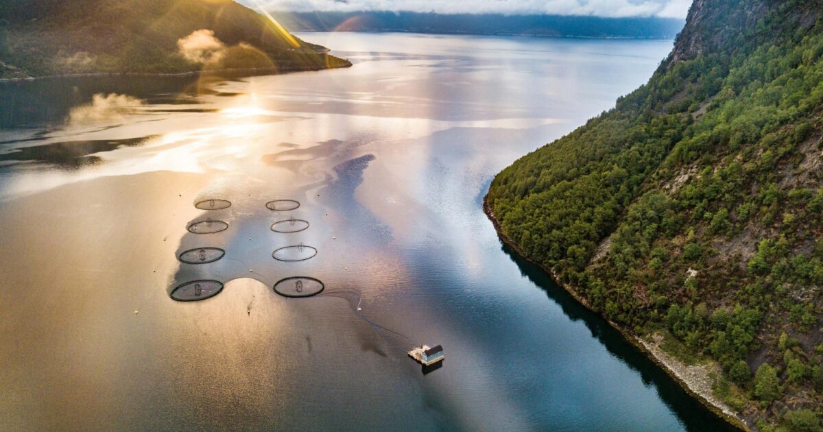 Jets® Group | Vacuum technology in Aquaculture