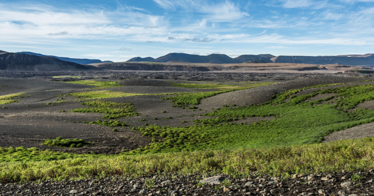 Jets™ Group | From black sand to fertile soil